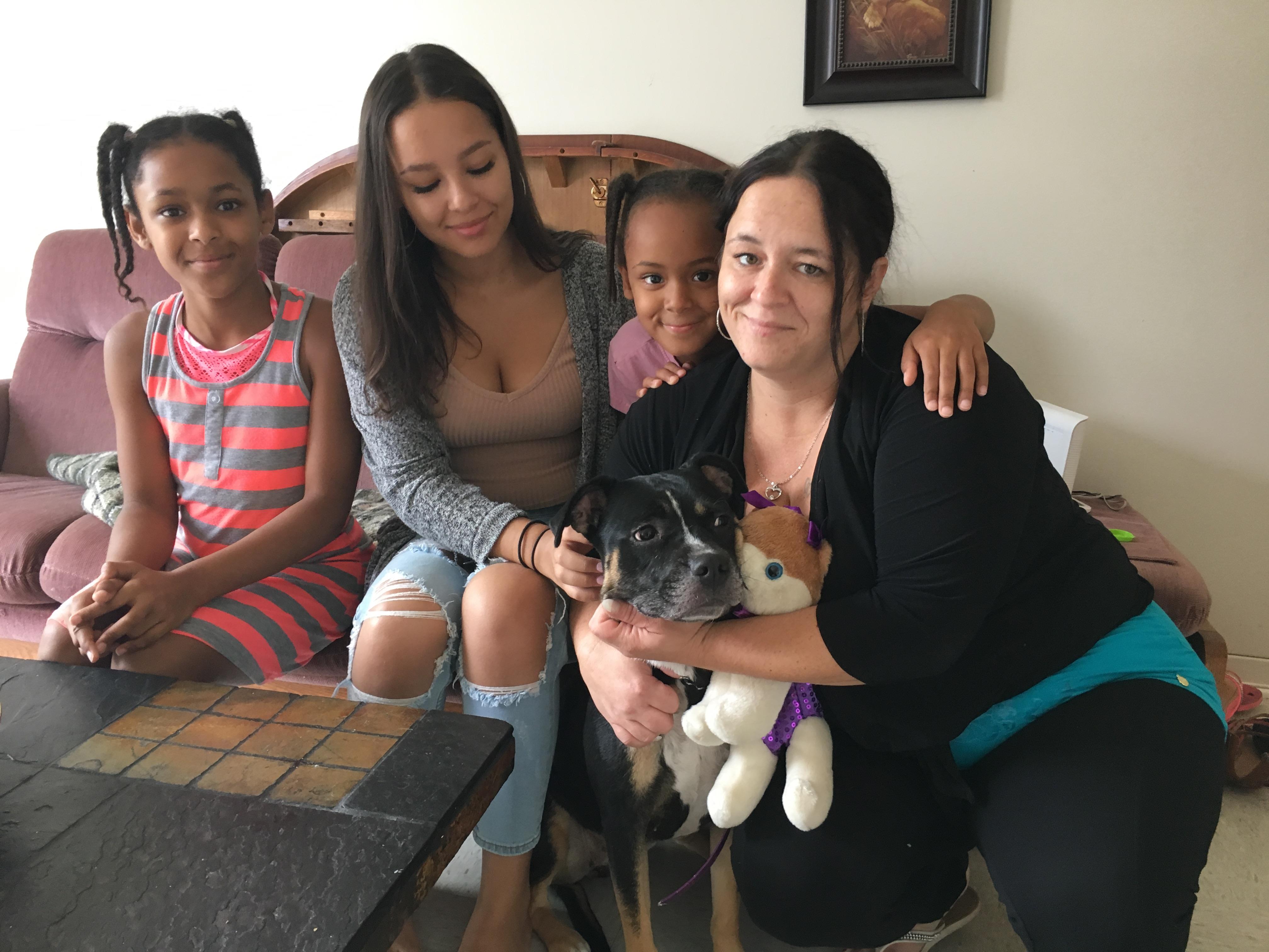 Montréal lance un ultimatum aux propriétaires de pitbulls sans permis ...