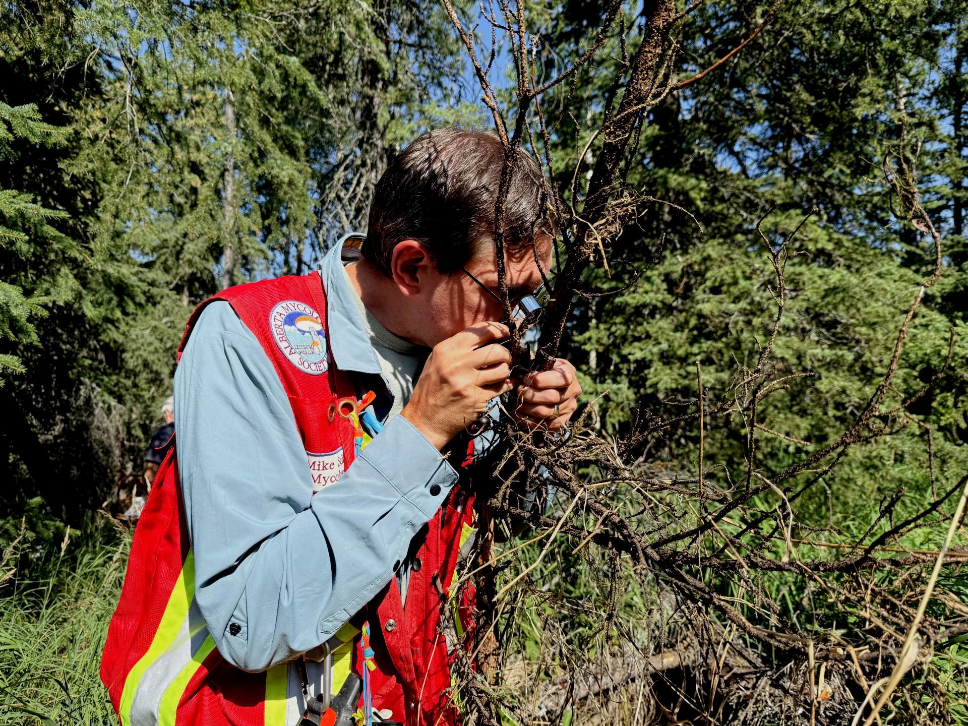 Prévenir les feux grâce aux champignons | Le téléjournal Alberta