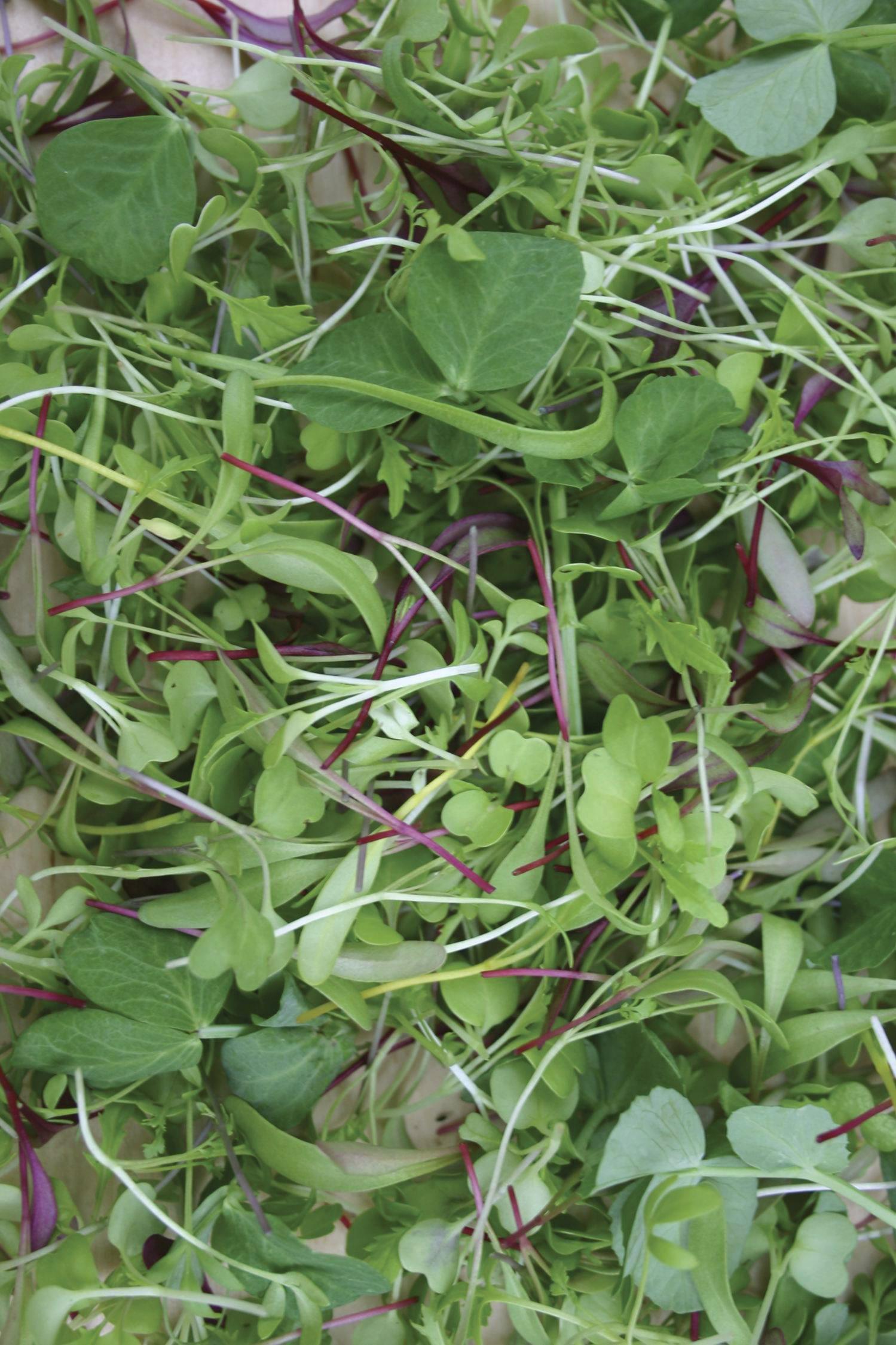 Comment dépenser moins de 15 $ par mois en nourriture | Radio-Canada.ca