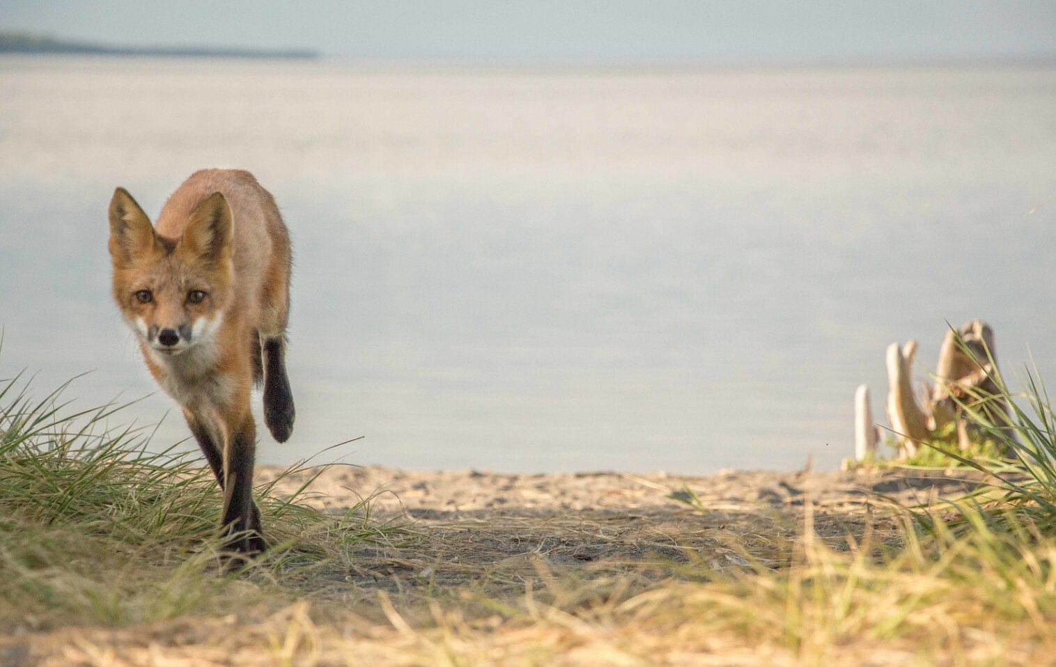 Le fleuve dans l’objectif de Jean-Christophe Lemay | Radio-Canada.ca