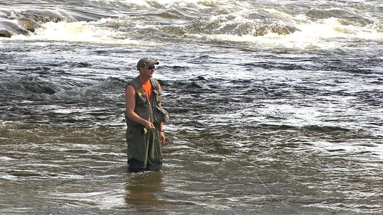 De nouveau, la chaleur a nui aux montaisons de saumons sur la rivière ...