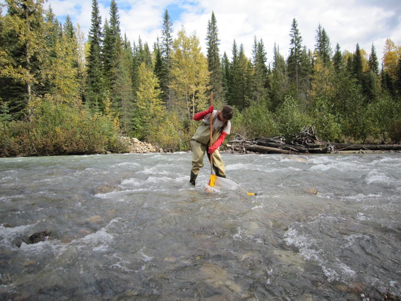 Mieux comprendre la santé des ruisseaux pour les protéger davantage ...