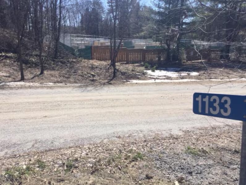 Wildlife sanctuary, neighbours in rift over potentially housing large ...