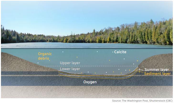 Canada’s Crawford Lake chosen as ’golden spike' to mark proposed new ...