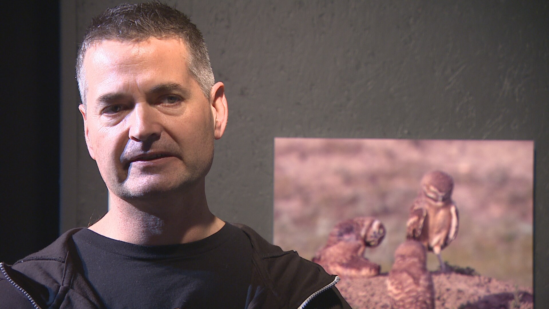 La ténacité de la nature au coeur d’une nouvelle exposition à Regina ...