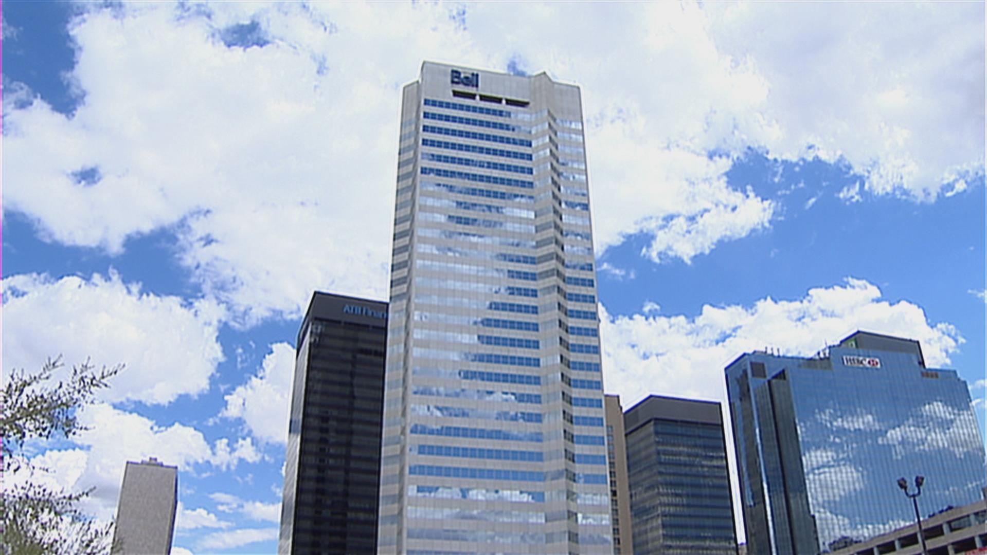 Un faucon survit à une chute de 33 étages à Edmonton | Radio-Canada.ca