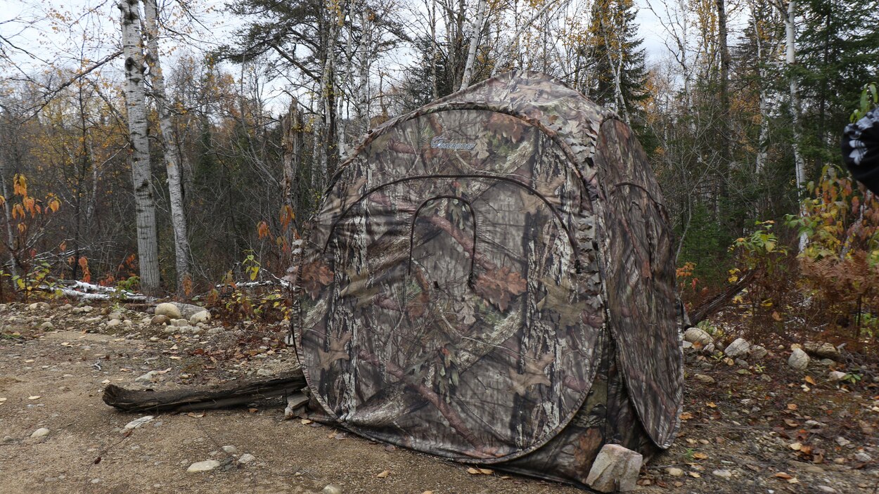 Des Premières Nations pourront de nouveau chasser dans le parc national Jasper | Radio-Canada