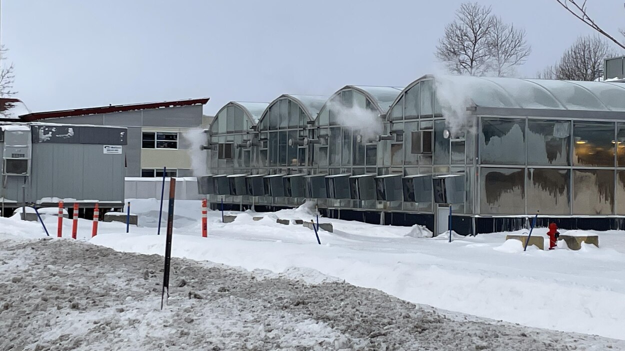 Le gouvernement Legault veut garder l’expertise Medicago au Québec ...