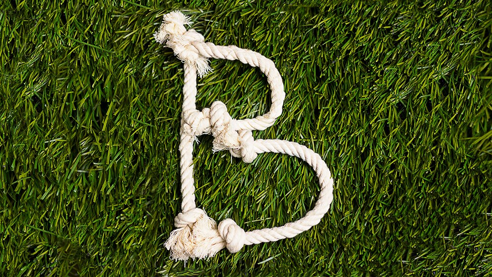 L'abécédaire de Christian Vézina : la lettre « B » | OHdio | Radio-Canada