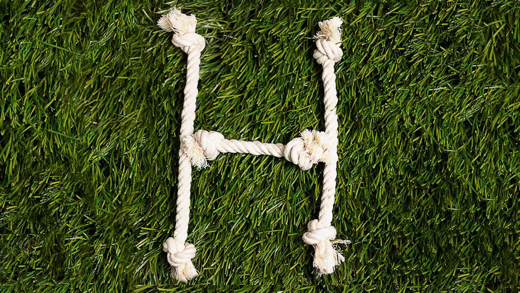 L'abécédaire de Christian Vézina : la lettre « H » | OHdio | Radio-Canada