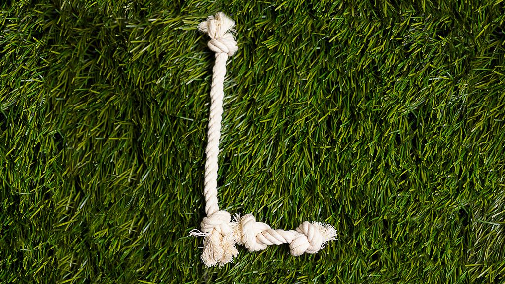 L'abécédaire de Christian Vézina : la lettre « L » | OHdio | Radio-Canada