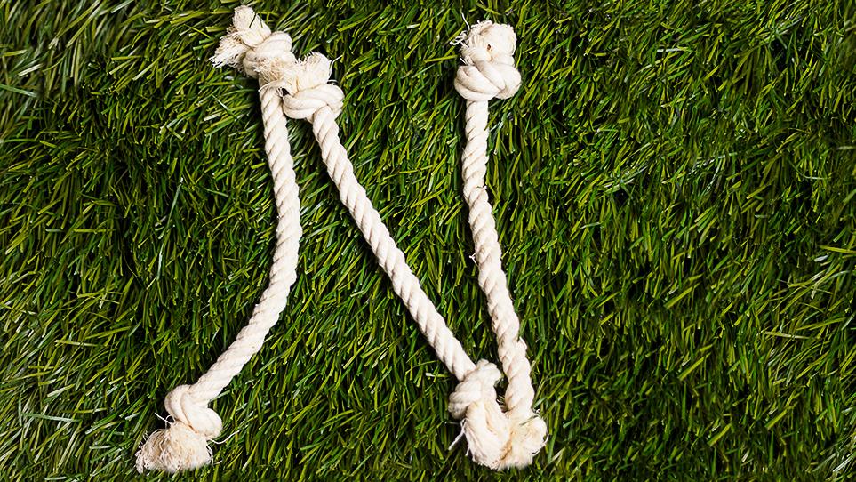 L'abécédaire de Christian Vézina : la lettre « N » | OHdio | Radio-Canada