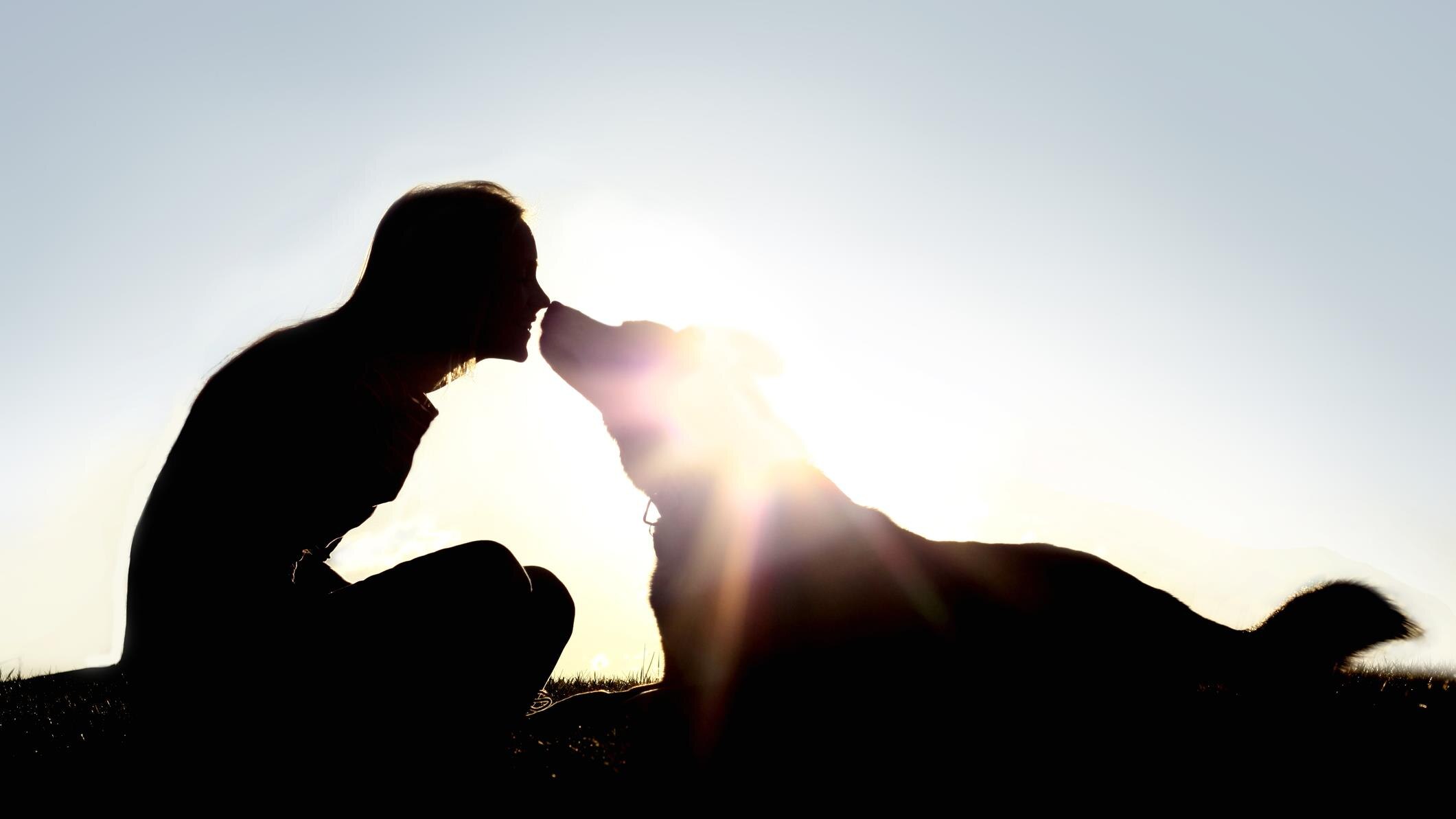 L’ABC de l’adoption, ou comment bien choisir son animal de compagnie ...