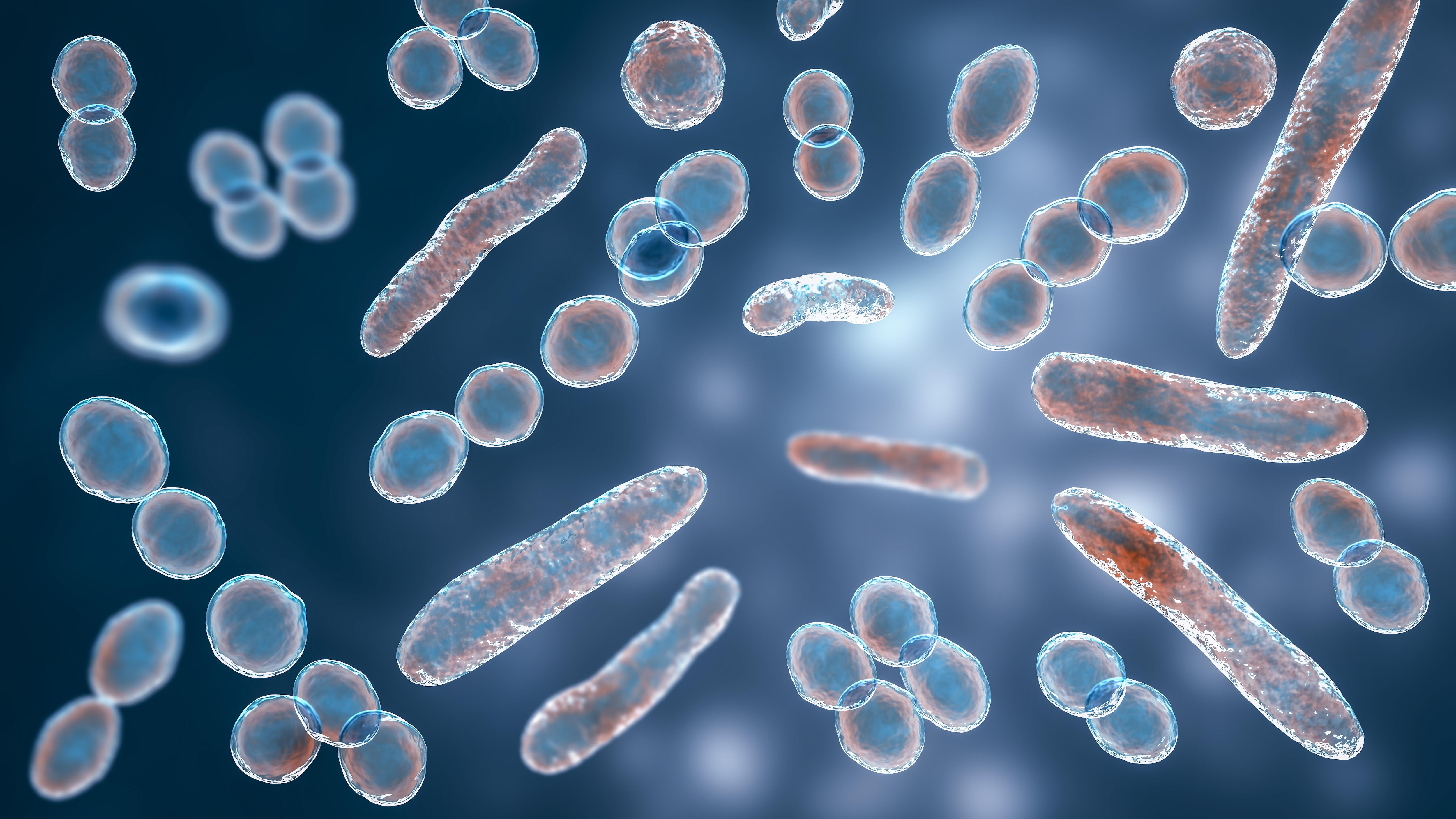 Qu’est-ce que la bactérie « mangeuse de chair »? | OHdio | Radio-Canada