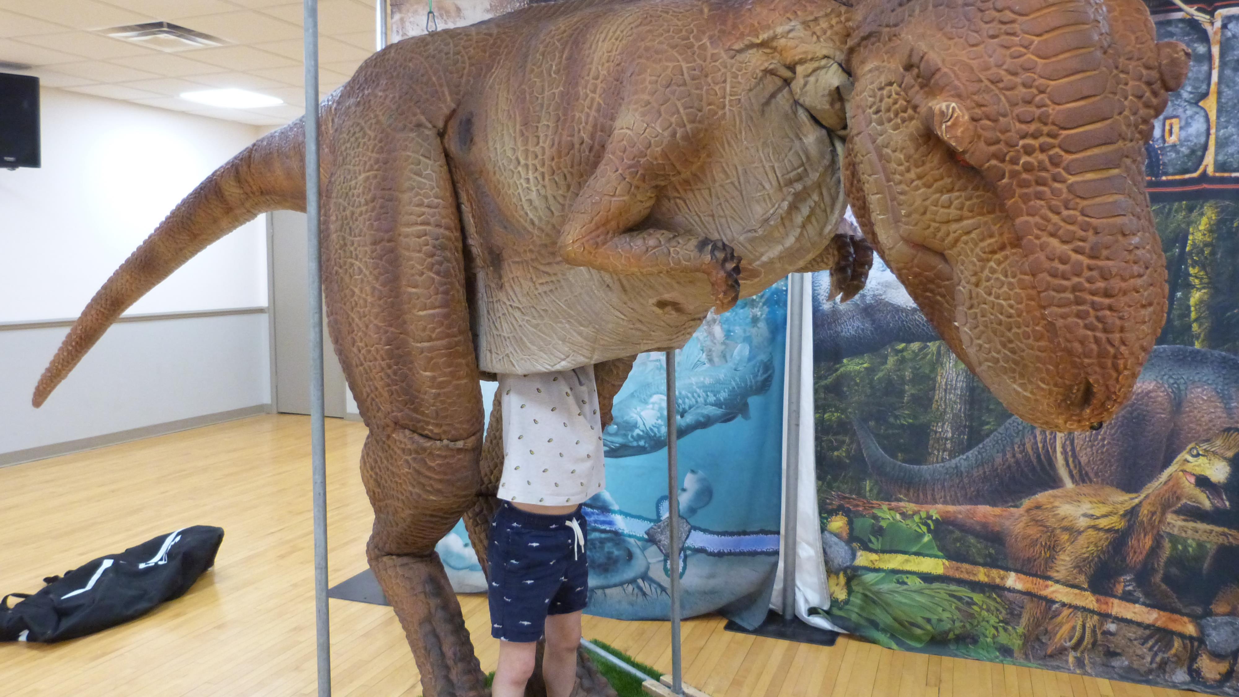 Bill bestiole en tournée sur la Côte-Nord | OHdio | Radio-Canada