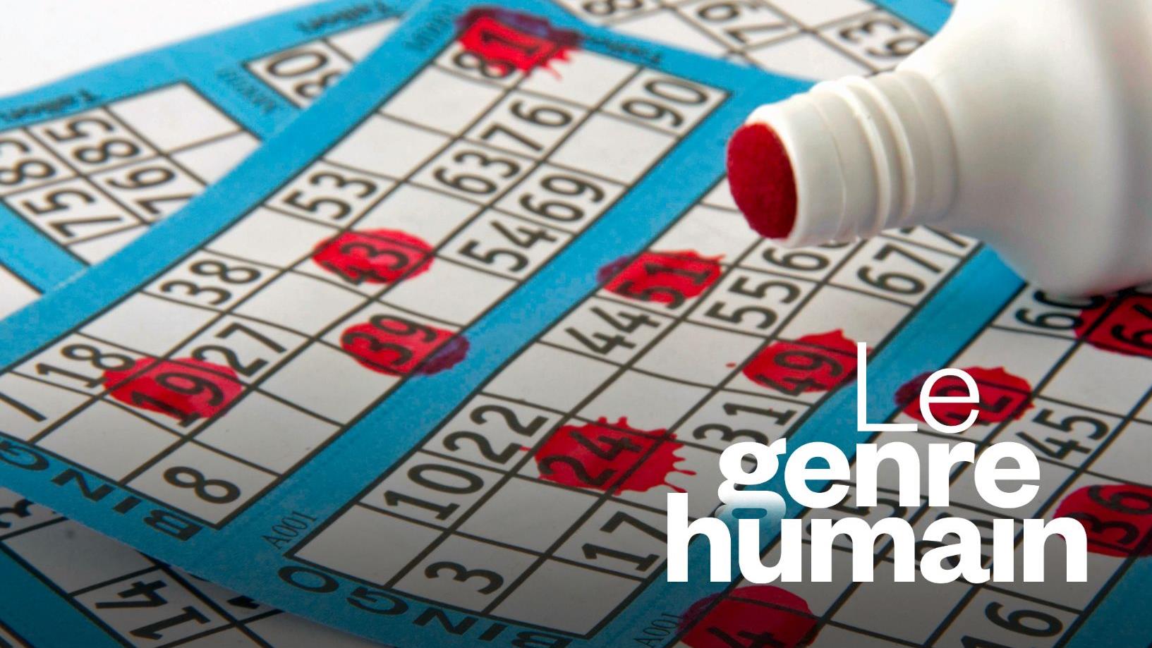 Le pouvoir insoupçonné du bingo | OHdio | Radio-Canada