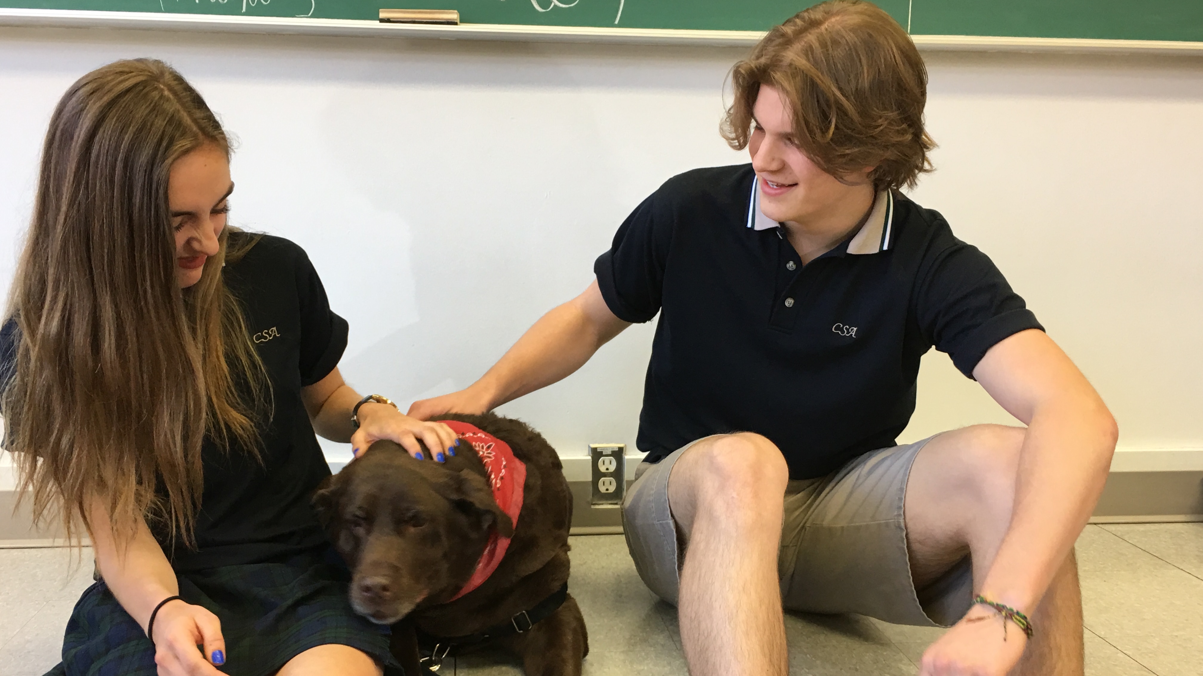 La zoothérapie pour aider les élèves | OHdio | Radio-Canada