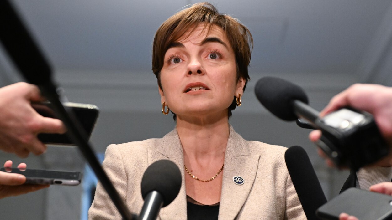 Québec lancera un guichet unique de services en francisation | Radio-Canada