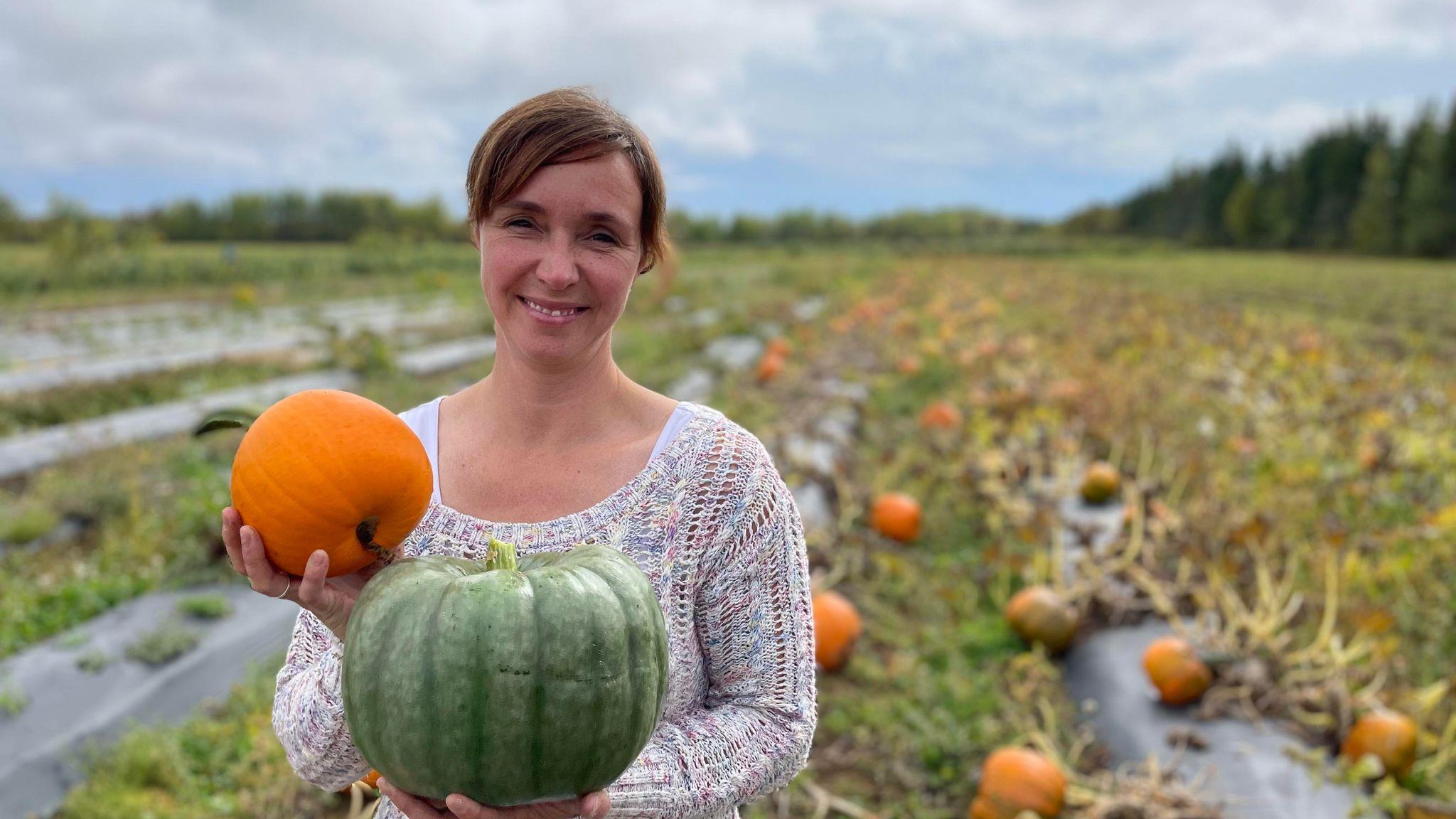 La saison des citrouilles est lancée à la Ferme Manicouagan | OHdio ...