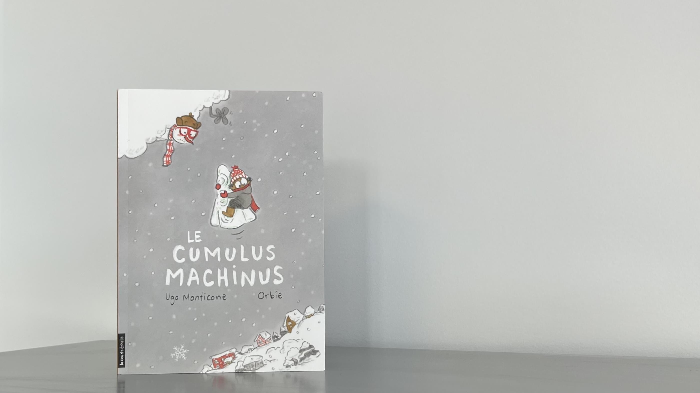 Le Cumulus Machinus ou la vie secrète des bonhommes de neige | OHdio ...