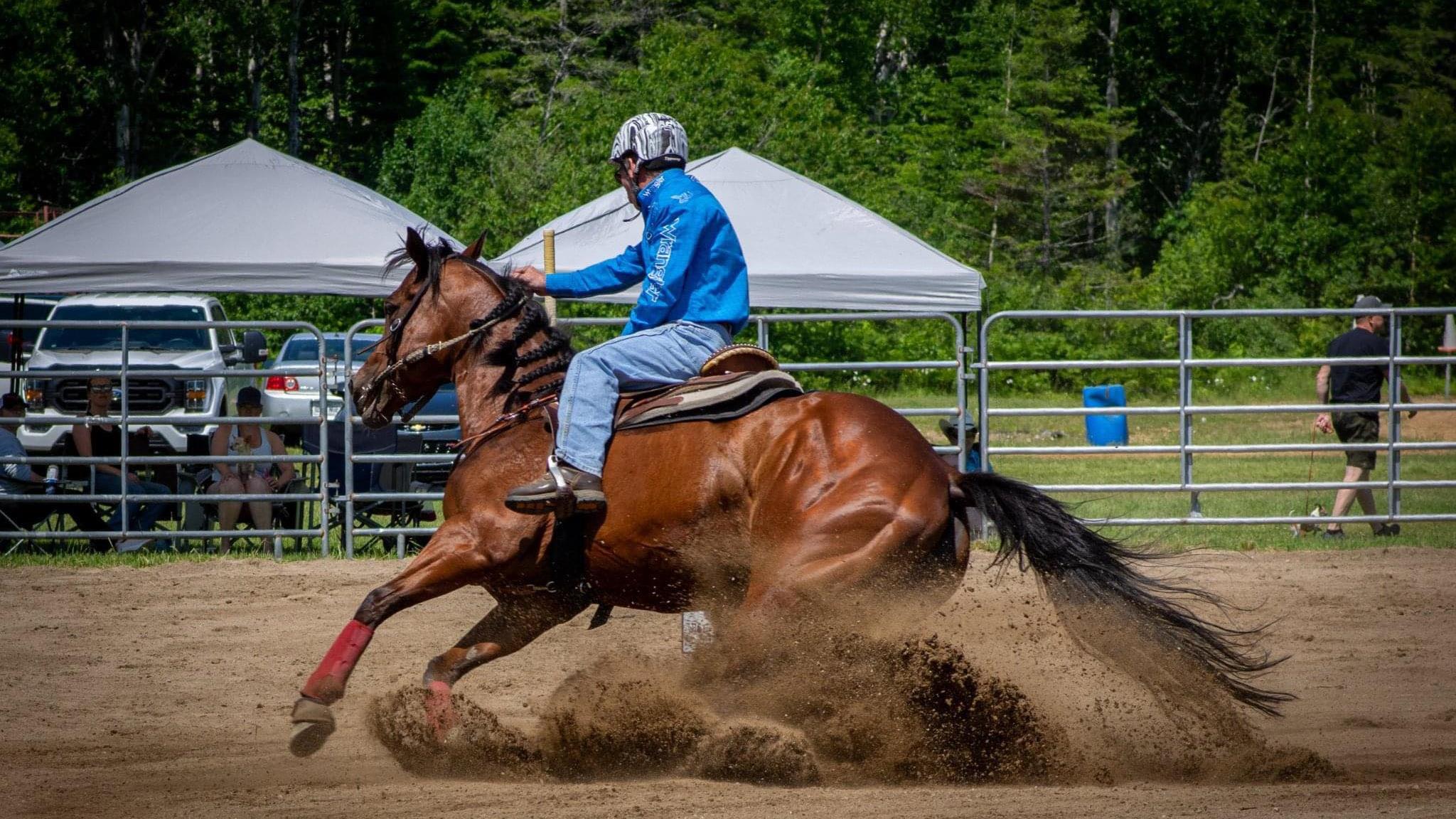 Eric Pelletier : gagnant et passionné d’équitation | OHdio | Radio-Canada
