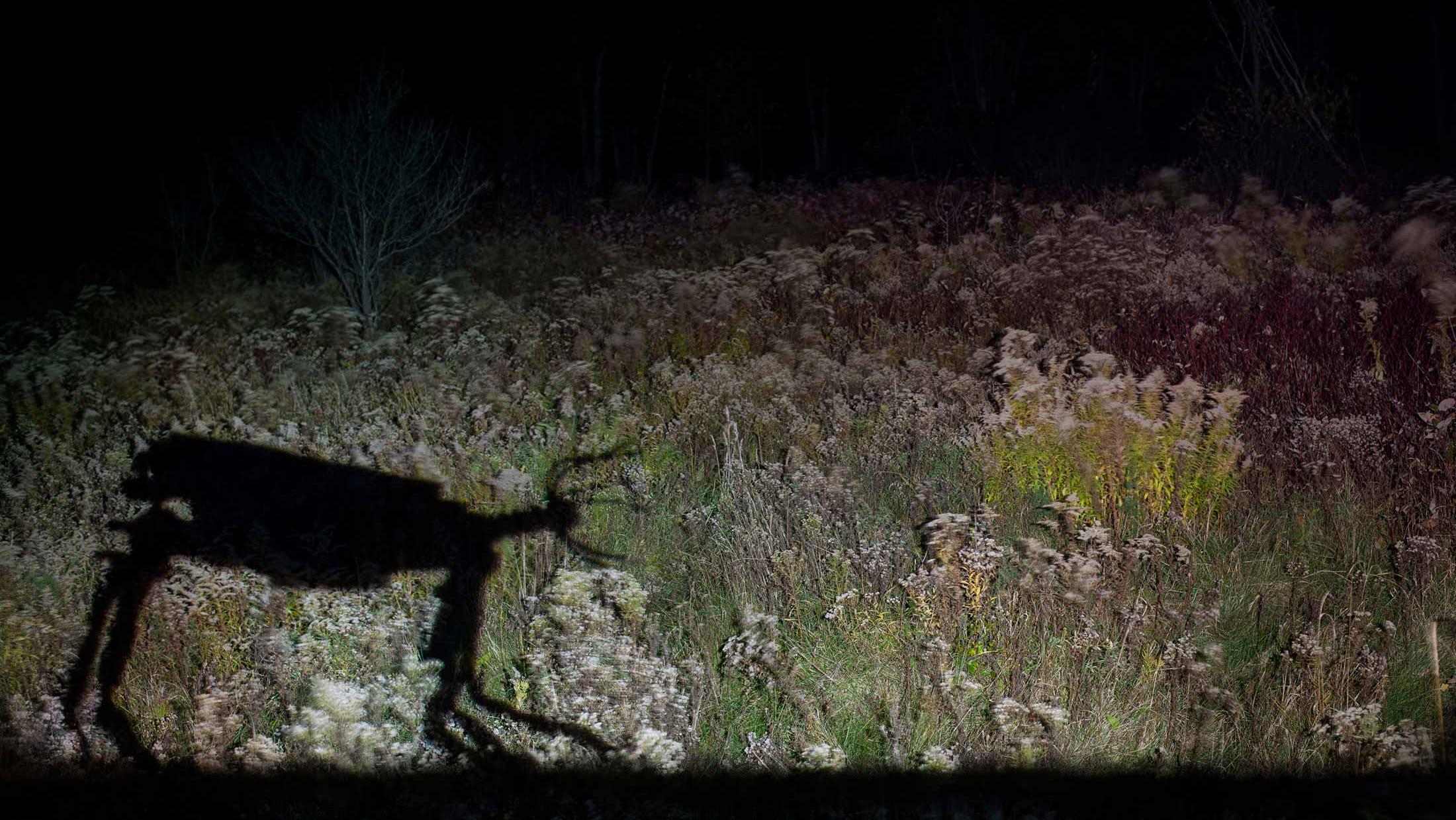 De la ferraille transformée en créatures fantastiques | OHdio | Radio ...