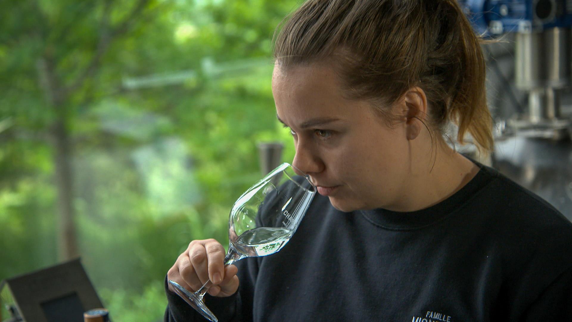 La relève de l’entreprise Famille Migneron | OHdio | Radio-Canada