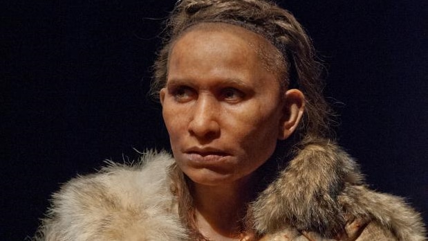 Lady Sapiens La Place Importante De La Femme Préhistorique