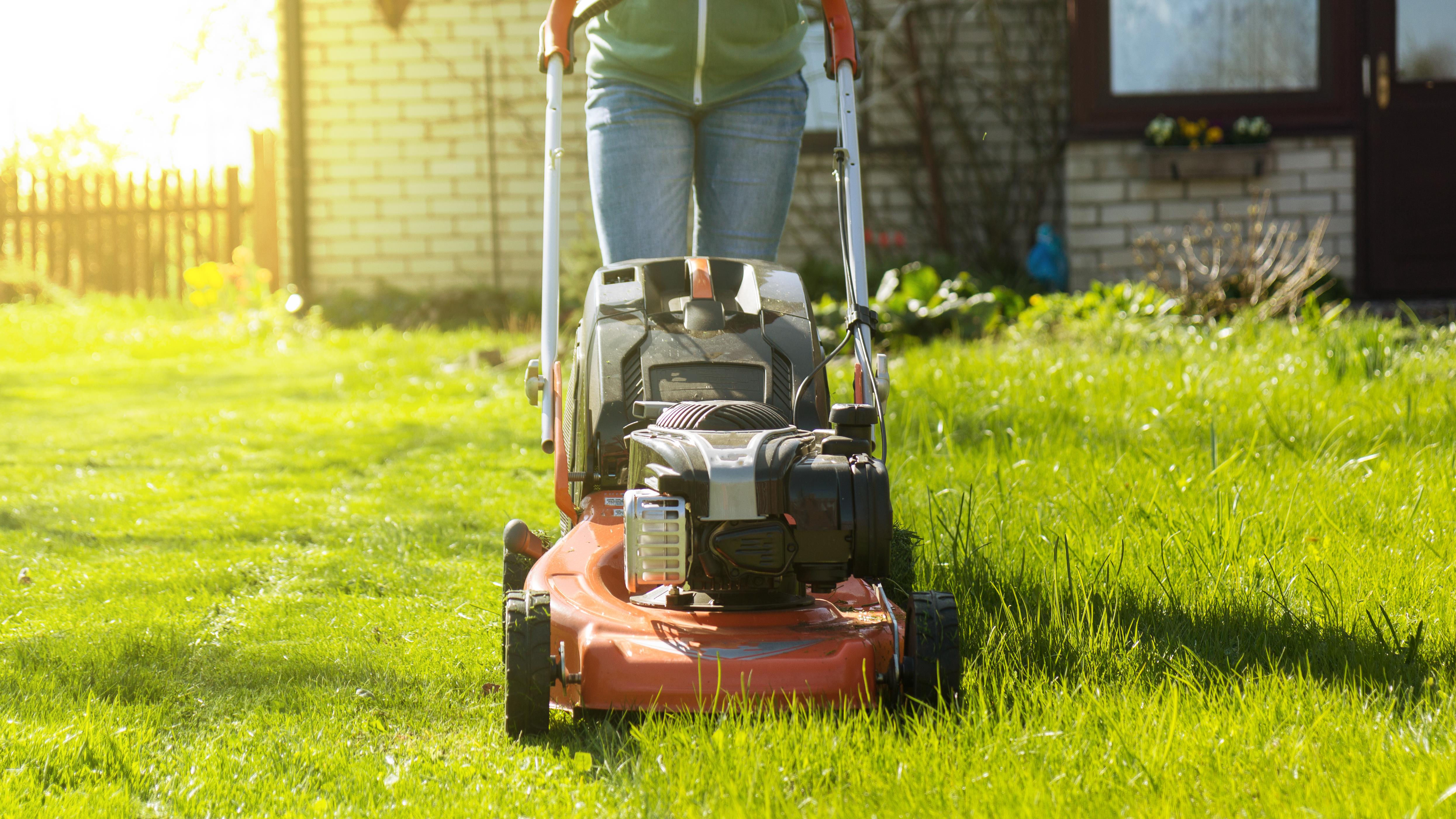 Des habitudes vertes à adopter pour préserver votre gazon | OHdio ...