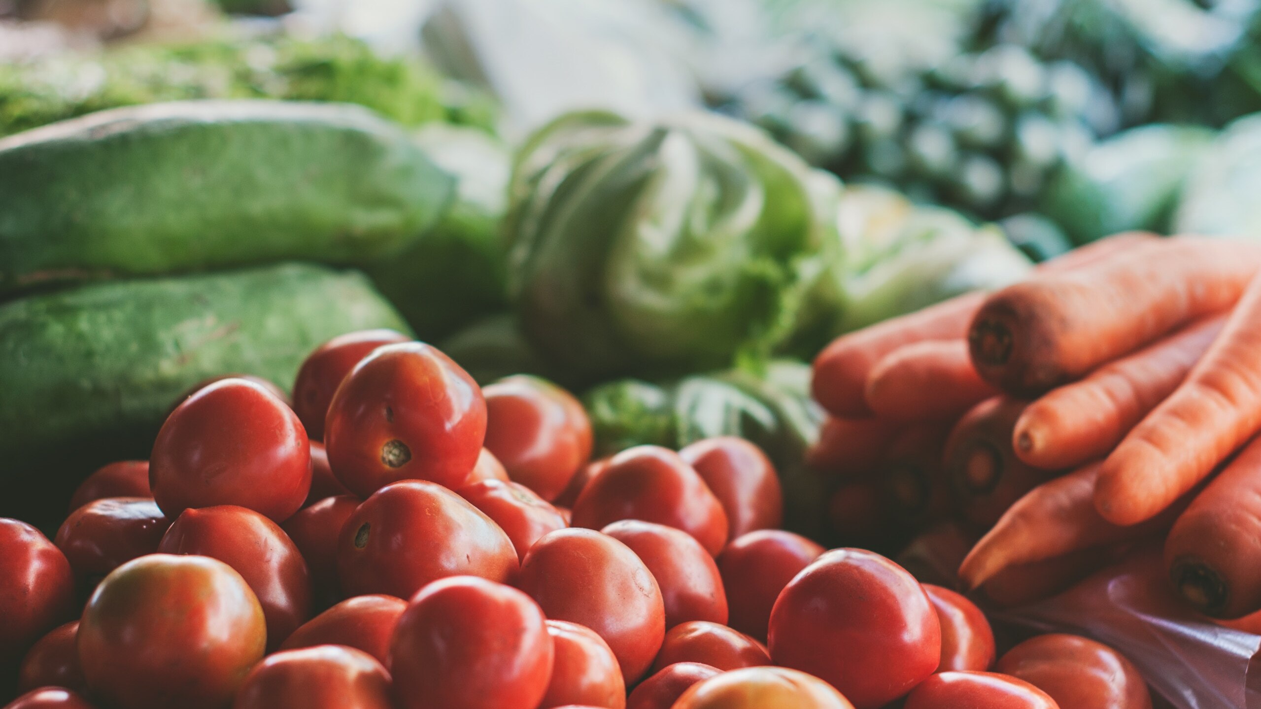 Pas assez de nourriture pour nourrir la planète? | OHdio | Radio-Canada