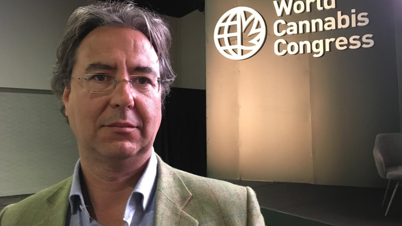 Le cannabis pour éradiquer la crise des opioïdes | OHdio | Radio-Canada