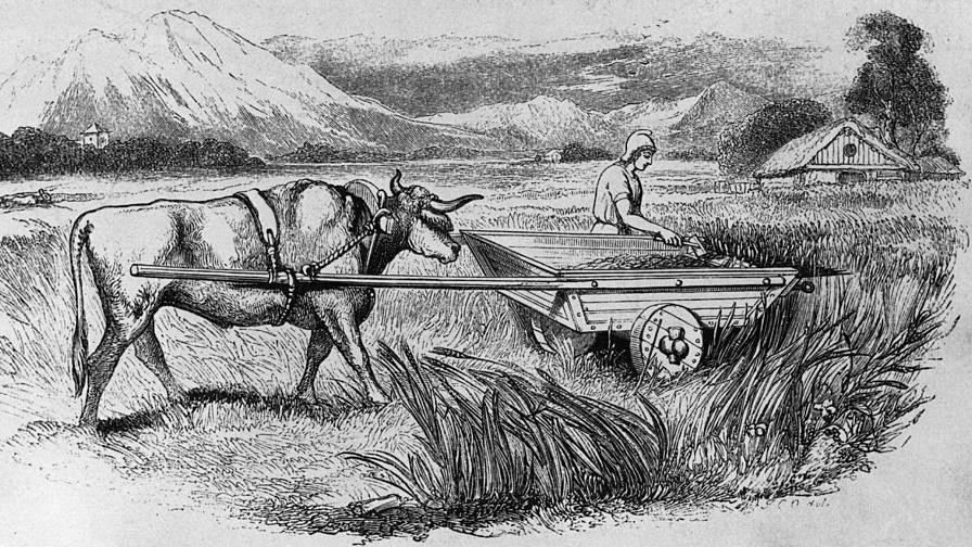 Le sombre destin d’un esclave durant l’Antiquité | OHdio | Radio-Canada