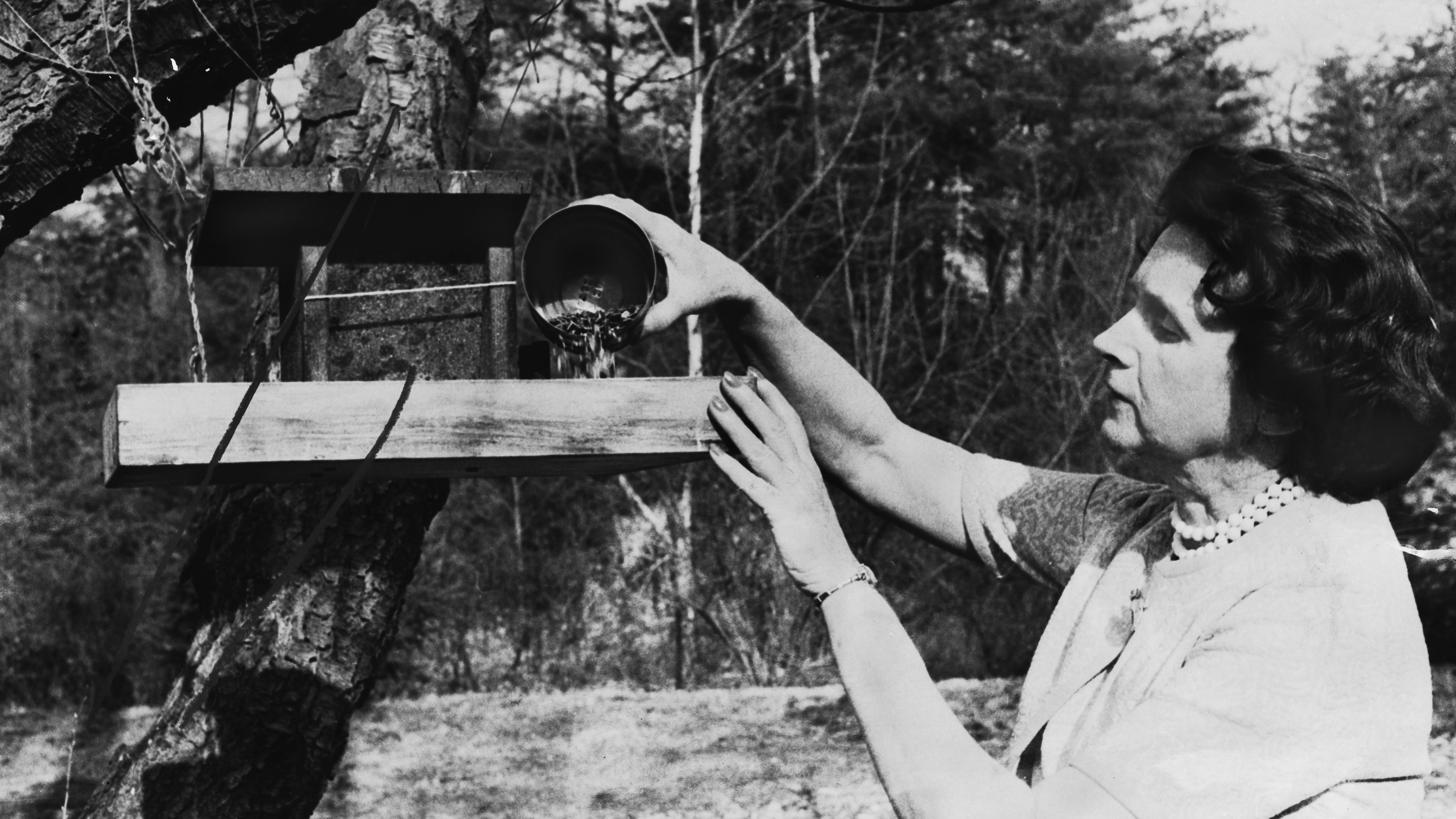 Rachel Carson, icône de la protection de l’environnement | OHdio ...
