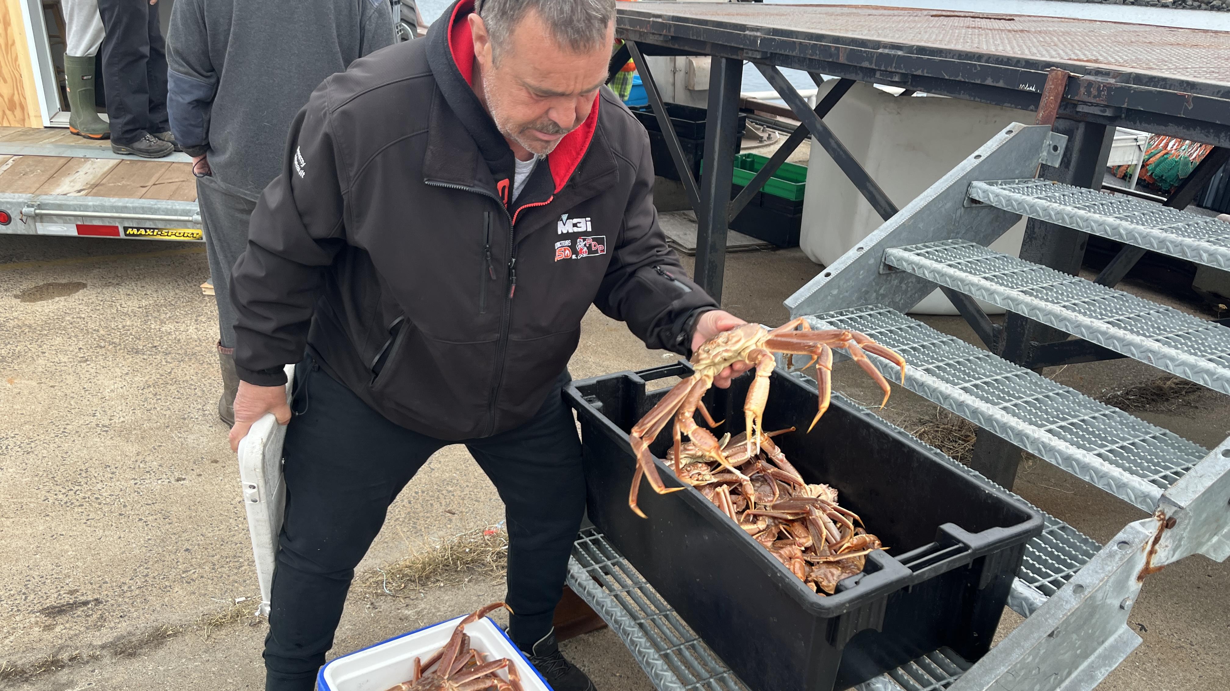 Aller chercher son crabe au quai, une tradition | OHdio | Radio-Canada