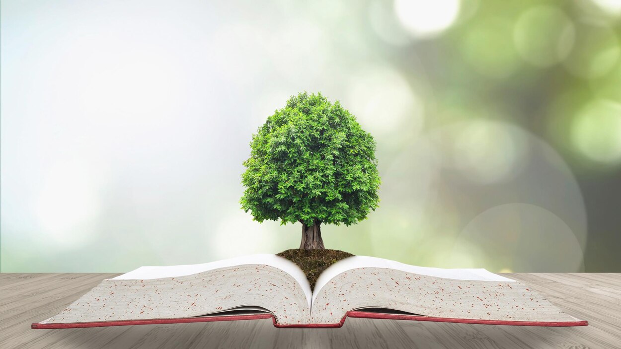 11 recueils de nouvelles qui font réfléchir | Radio-Canada