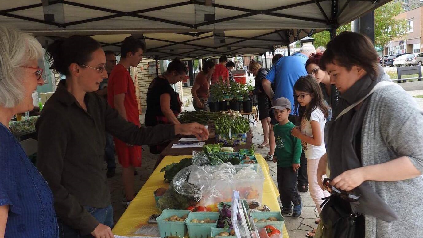 11e semaine québécoise des marchés publics | OHdio | Radio-Canada
