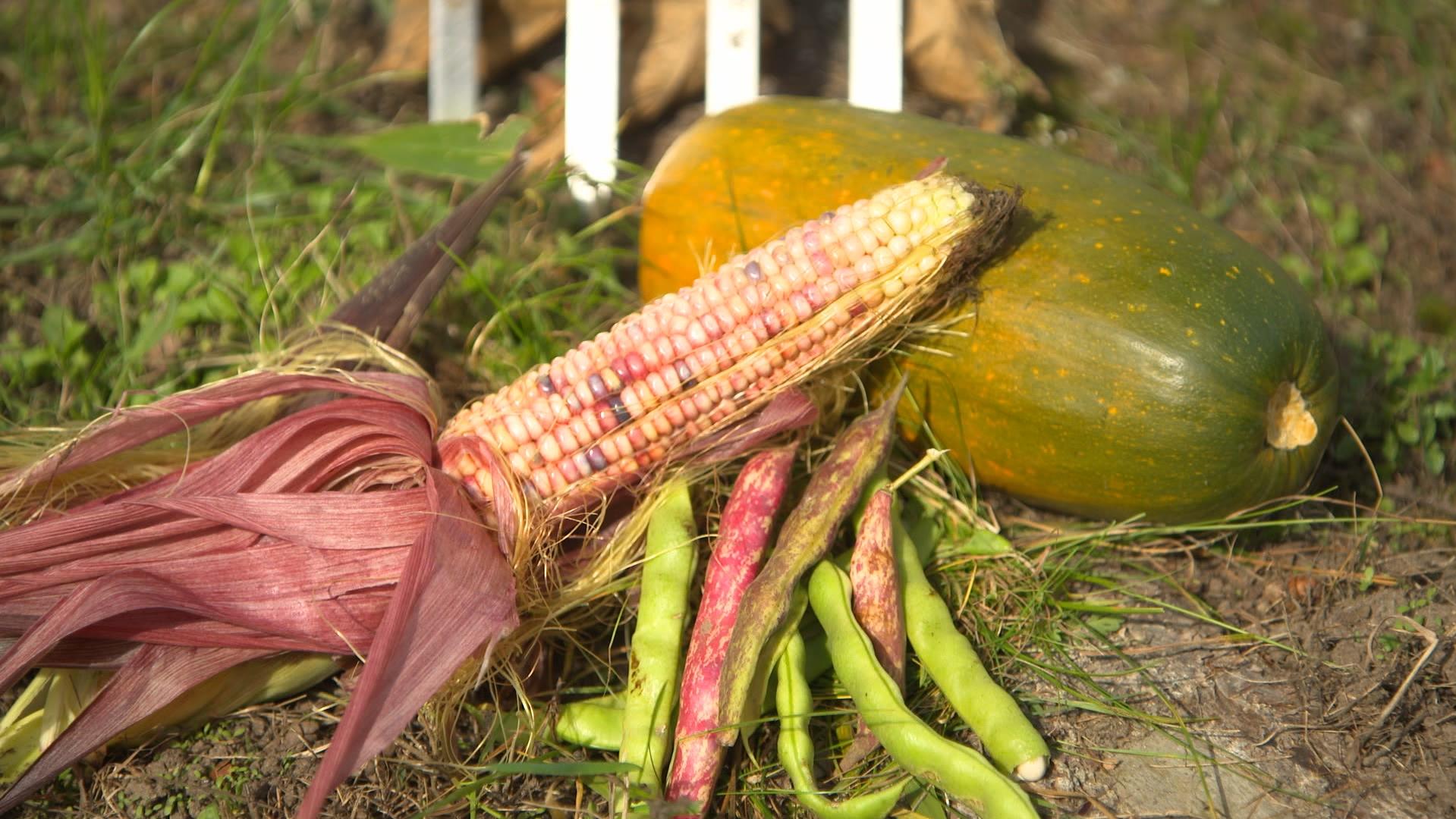 Comprendre l’importance du partage du savoir agricole autochtone ...