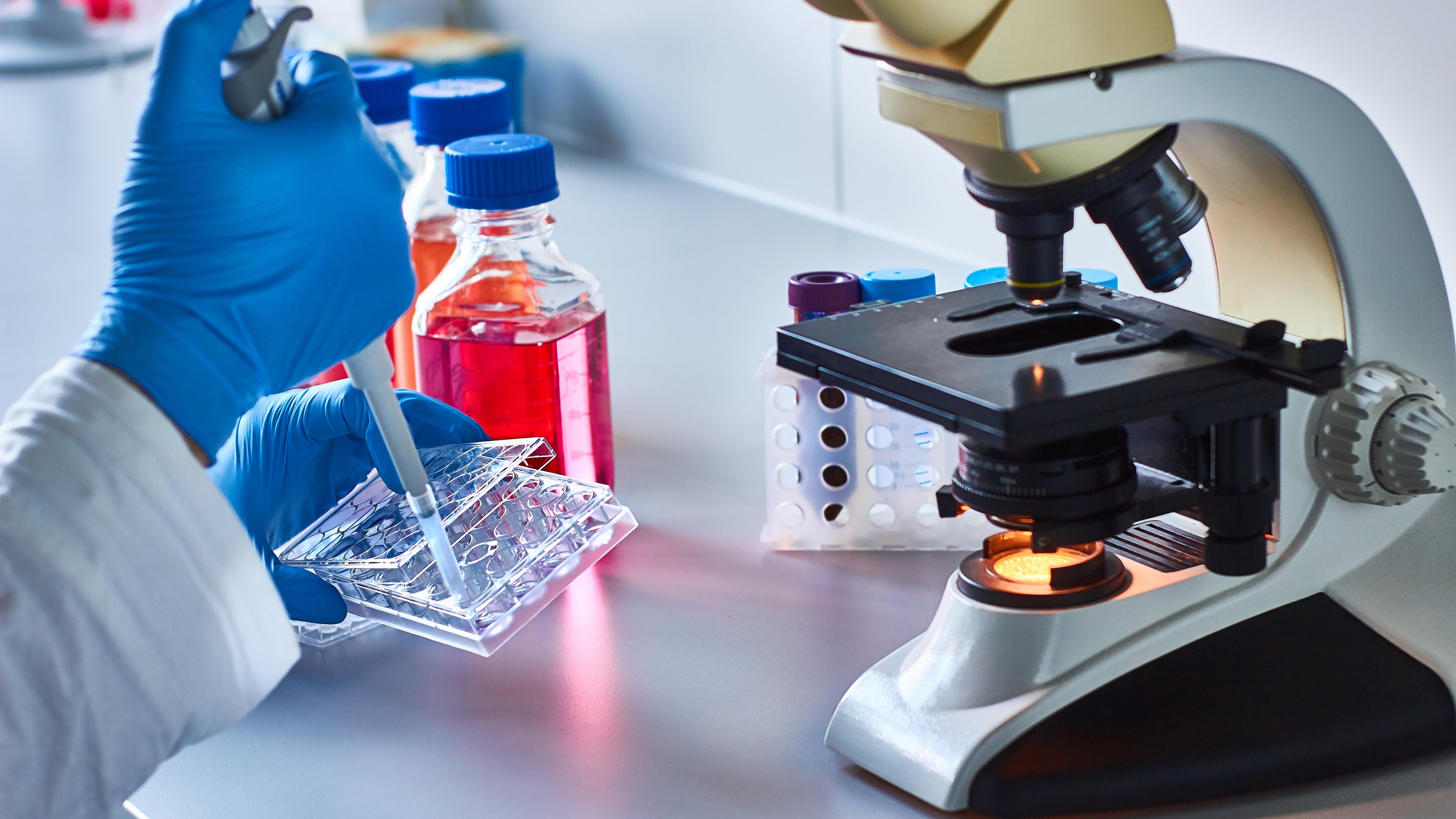 La biobanque vivante, un outil très utile dans la lutte contre le ...