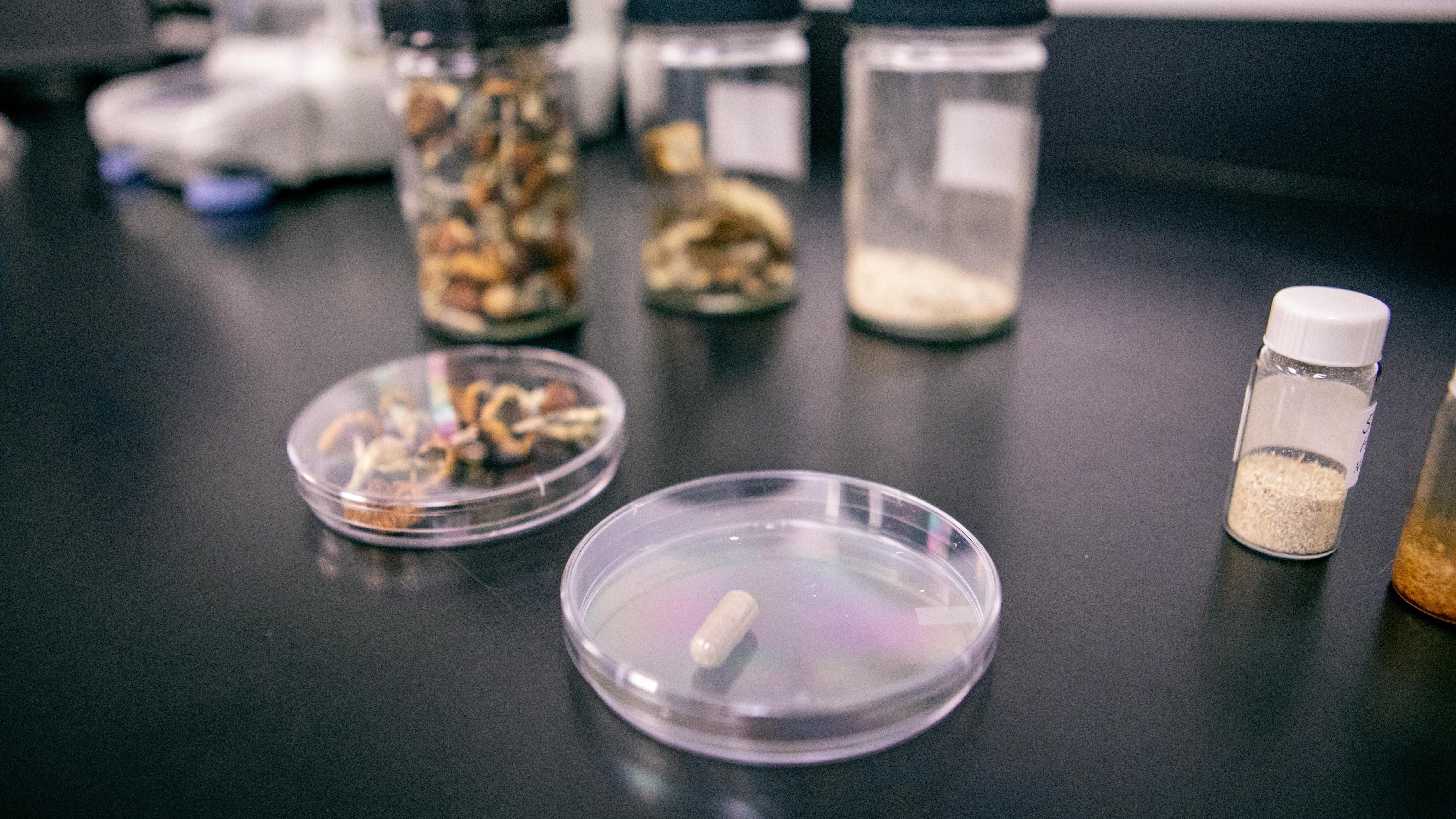 Le microdosage, la clé pour éviter l'épuisement professionnel? | OHdio ...
