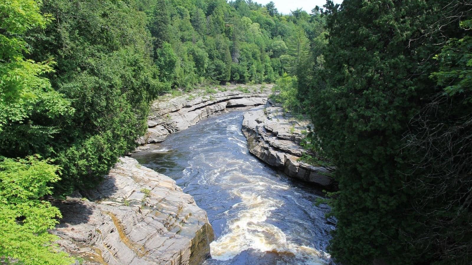 Ouverture de la passe migratoire à saumons atlantiques de Cap-Santé ...