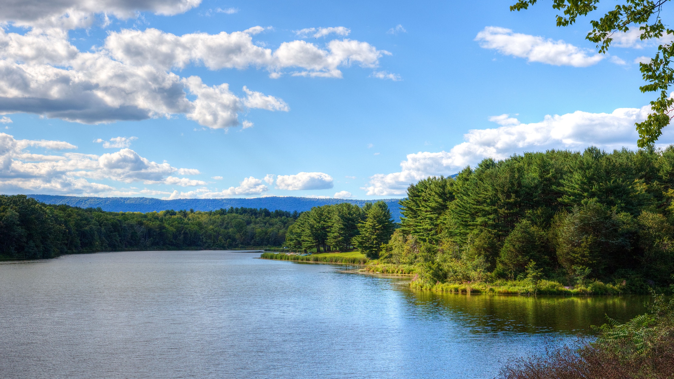 Les lacs : « Cet espace où l’eau prend une pause » | OHdio | Radio-Canada