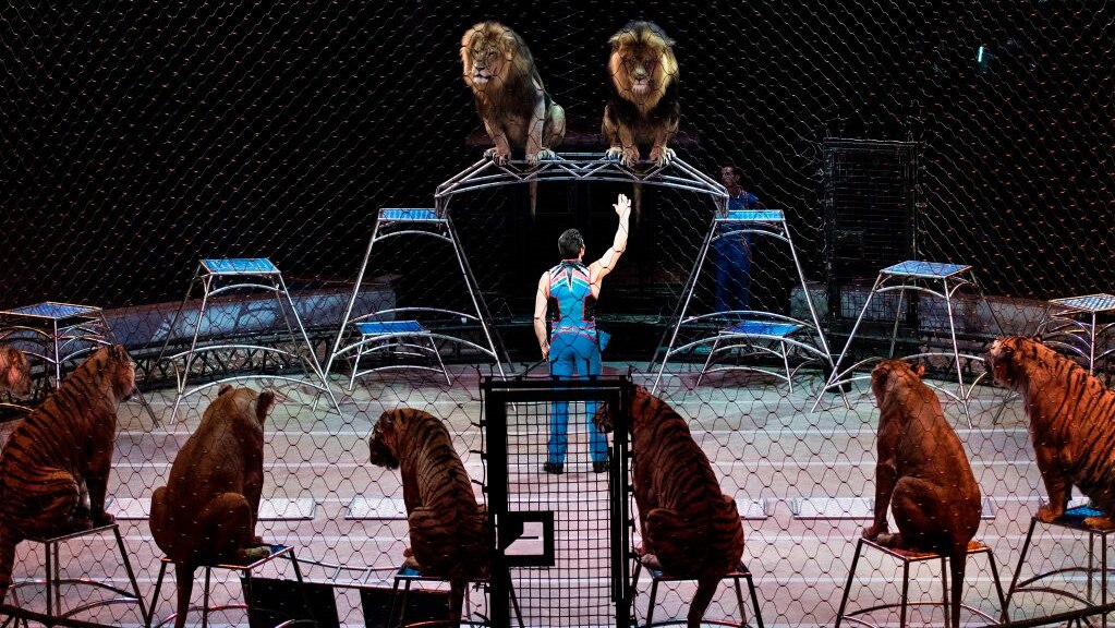 Ringling Brothers-Barnum : une époque du cirque se termine | OHdio ...