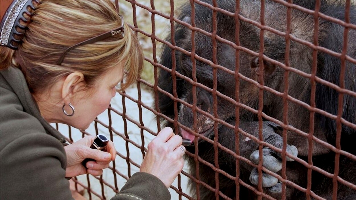 Sommaire de l'émission avec Isabelle Craig | OHdio | Radio-Canada