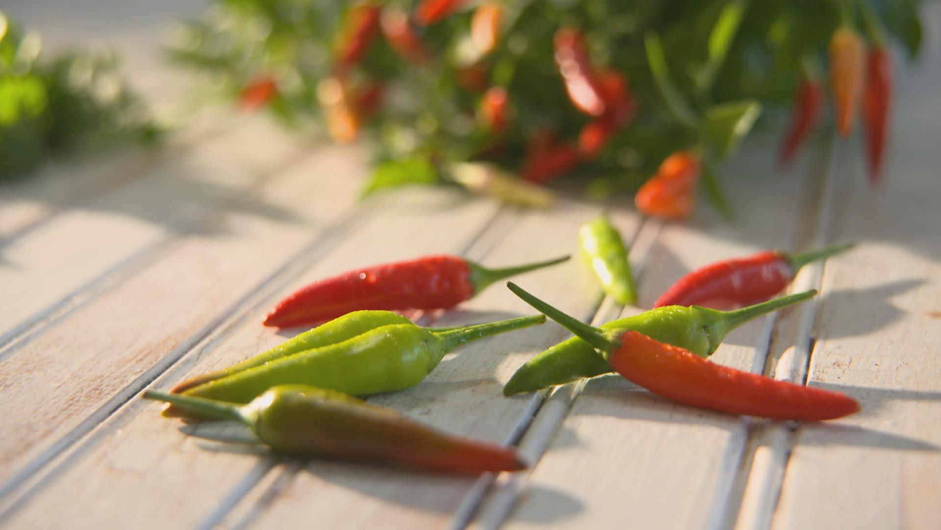 Comprendre le côté piquant d’un piment | OHdio | Radio-Canada