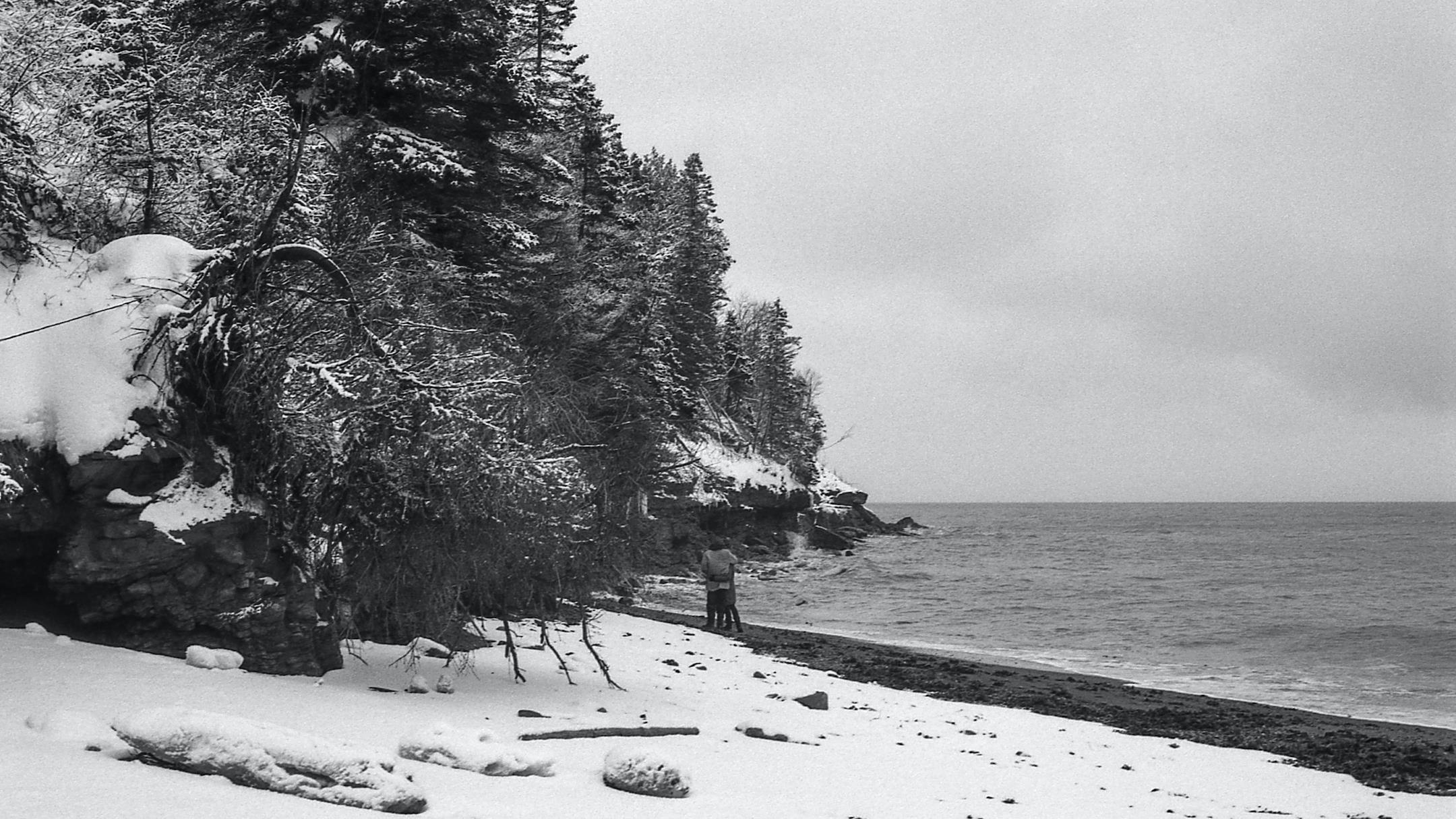 Shaina Hayes, artiste et fermière | OHdio | Radio-Canada