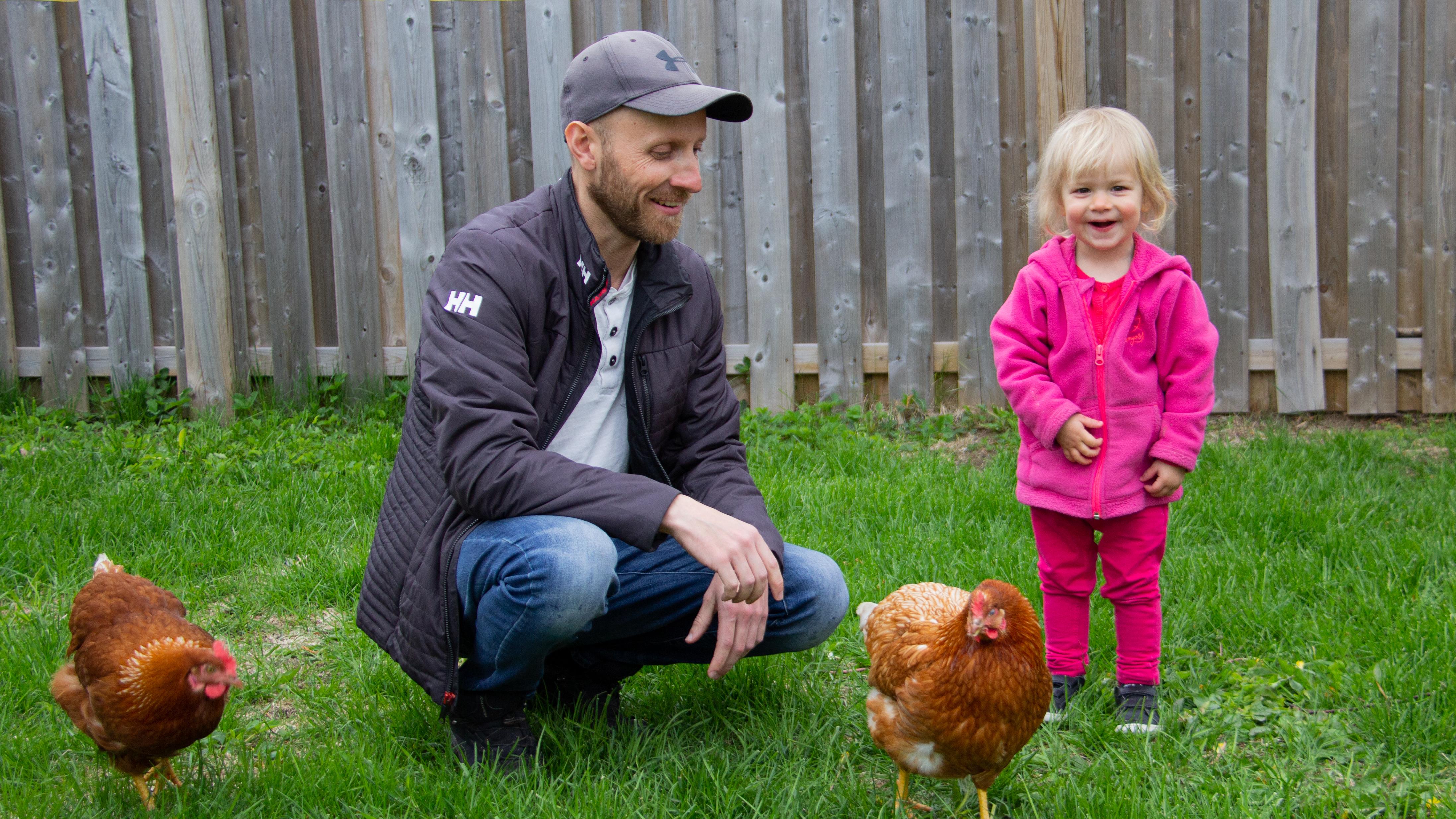 Adopter des poules à Sept-Îles | OHdio | Radio-Canada
