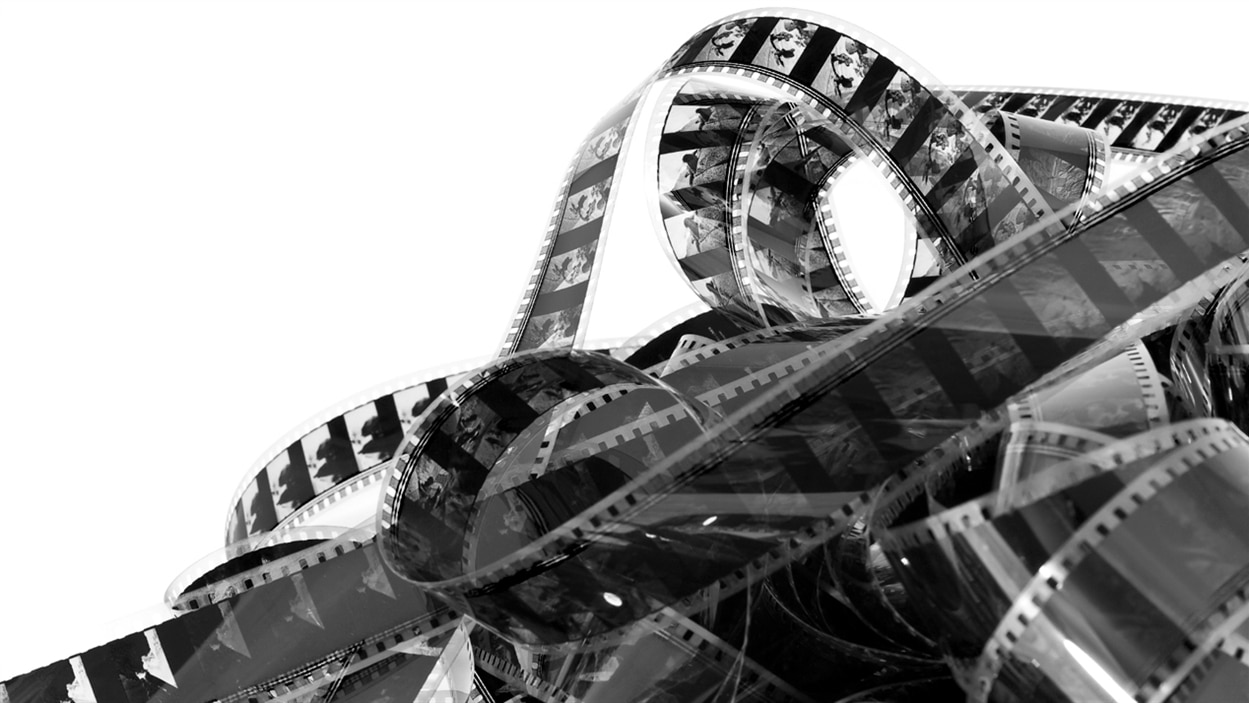 Comment le distributeur Les Films Séville fait ses choix | OHdio ...
