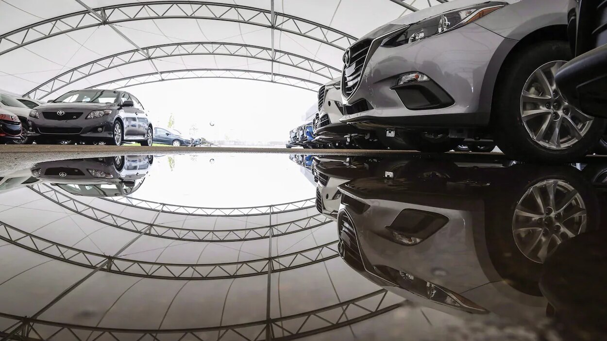 Toronto police recover more than 1,000 stolen cars, lay hundreds of ...