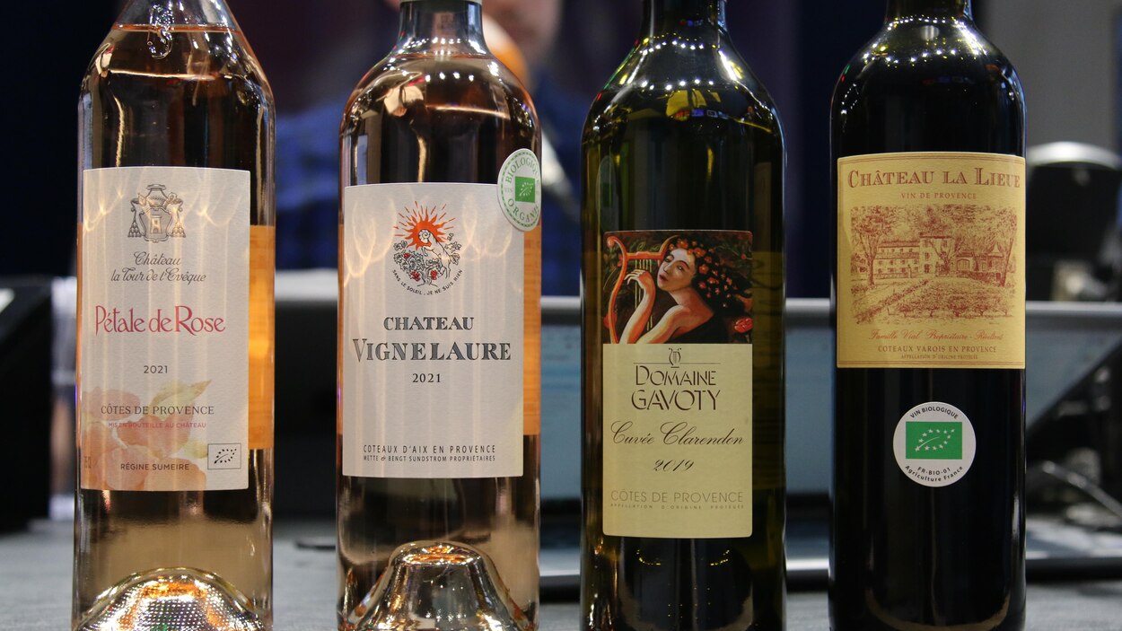 Quatre vins pour découvrir la Provence | Radio-Canada