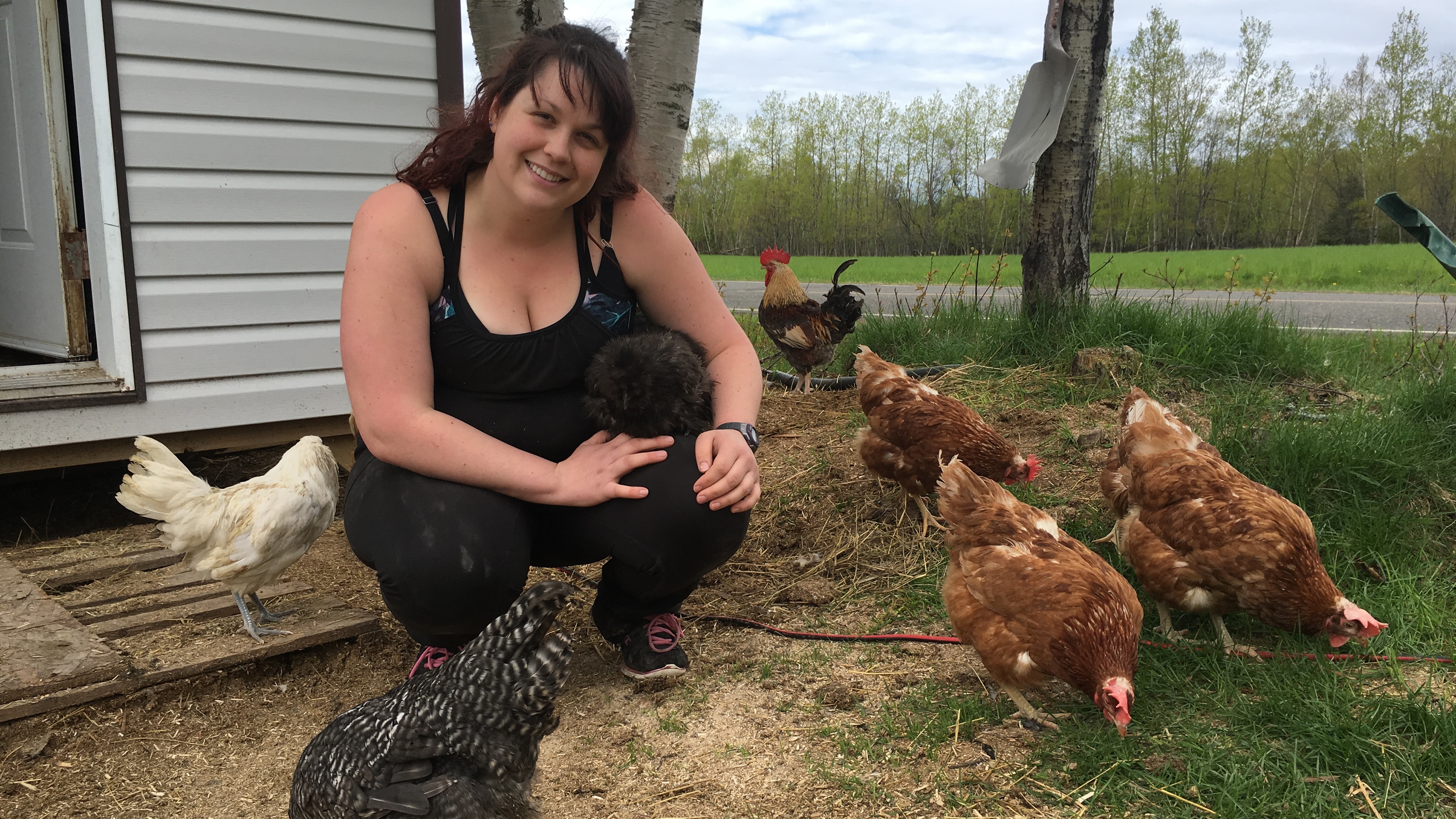 Ferme Repr'O de la Baie : une nouvelle entreprise avicole à Saint ...